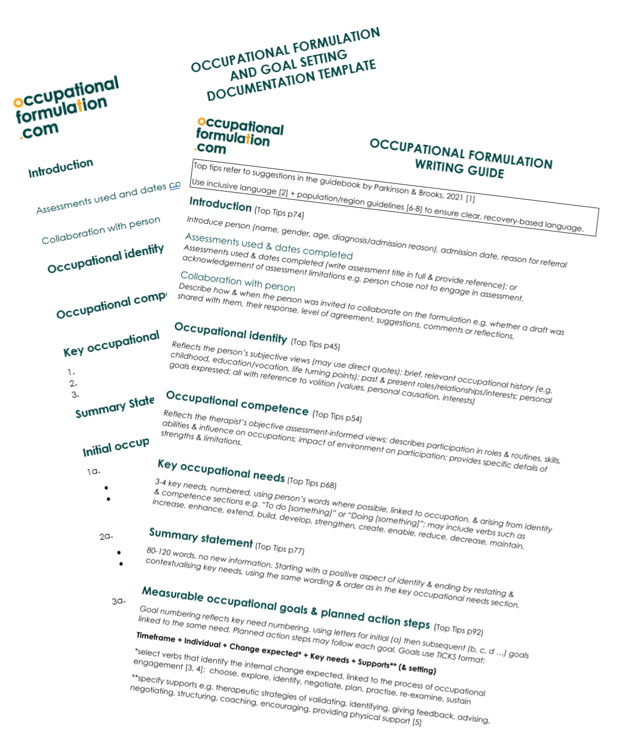 Occupational formulation template and writing guide